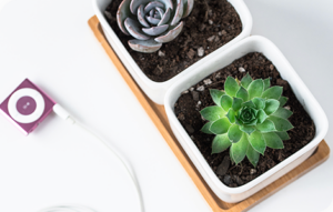 Best Self Hypnosis Techniques for Relaxation | UpNow Hypnosis